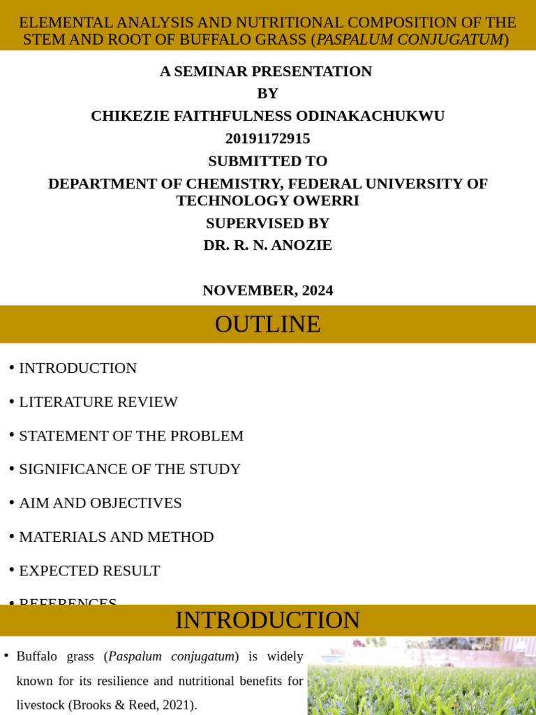 Chikezie Faithfulness O. Slide | PDF | Nutrients | Nutrition