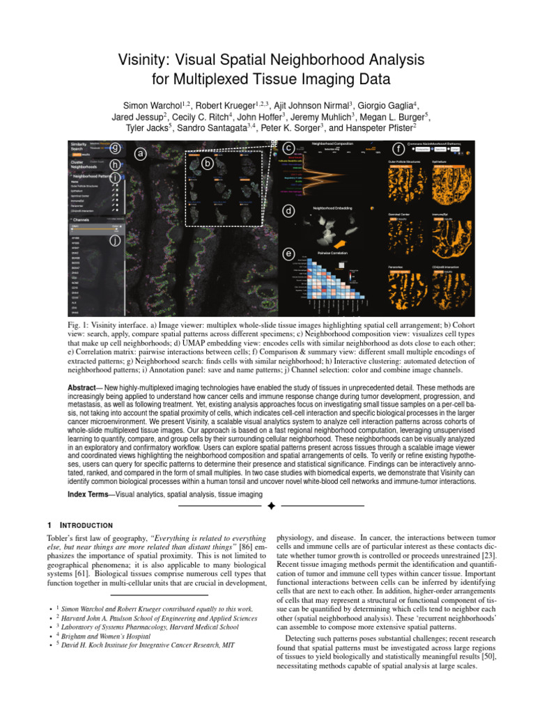 Warchol Et Al. - Visinity Visual Spatial Neighborhood Analysis For | PDF | Spatial Analysis ...