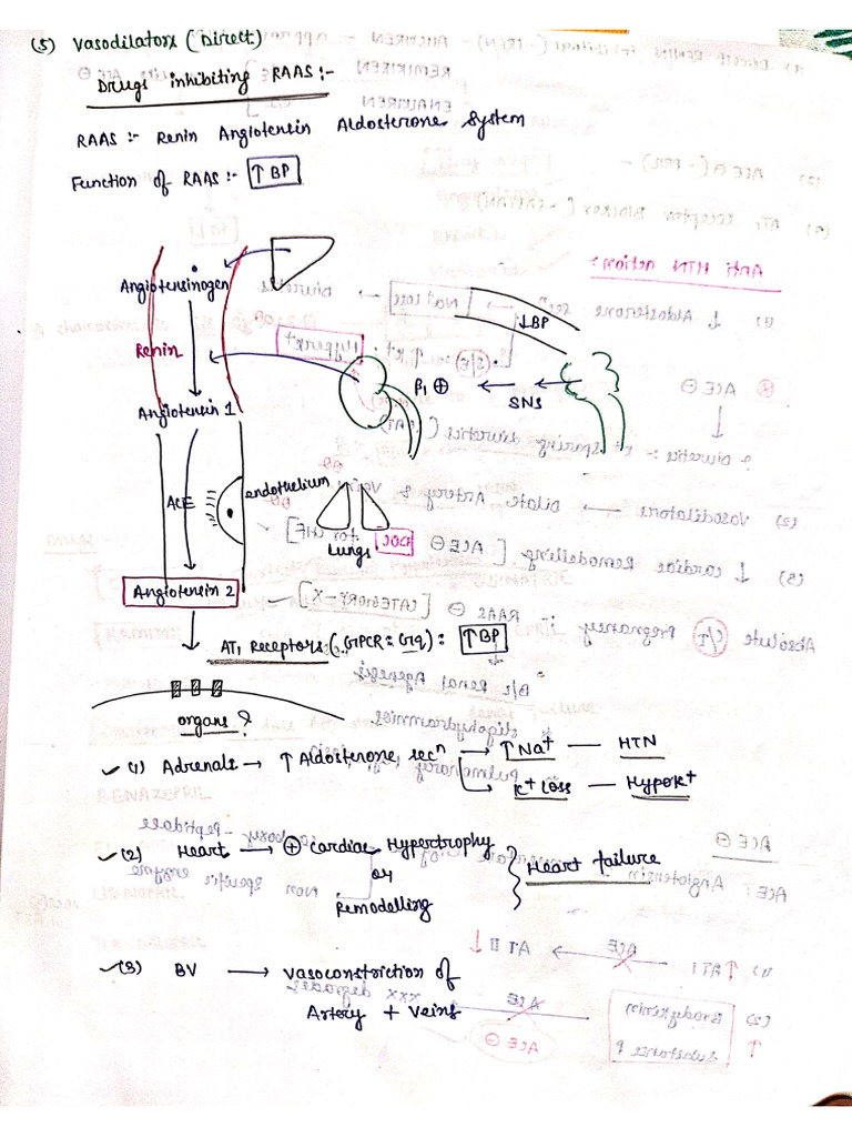 ARNI and AG 2 Blocker | PDF