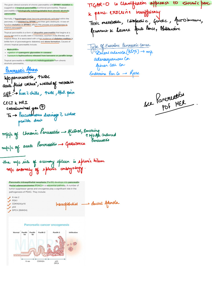 Finalised Btr Book Pdf Abdomen Immunology