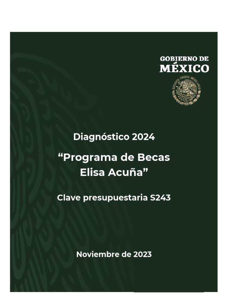 S243 Diagnostico 2024 | PDF | México | Igualdad de género