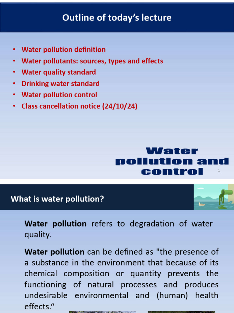 Understanding Water Pollution Effects | PDF | Water Pollution | Pollution