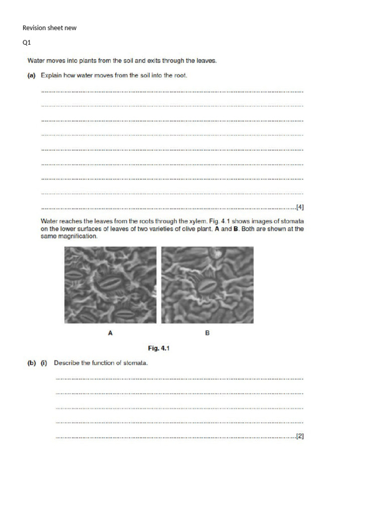 Revision Sheet New | PDF