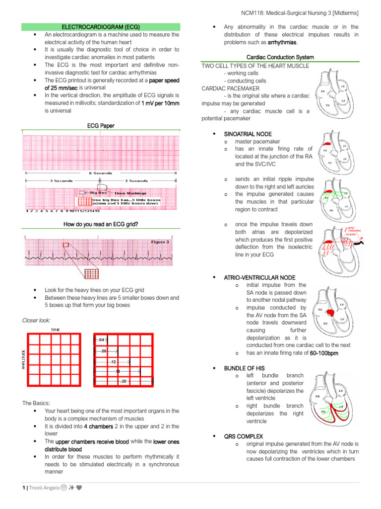 ECG, CAD, AMI, Arrhythmias, Etc | PDF | Electrocardiography | Cardiac ...