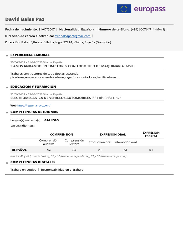 Curriculum David Balsa Paz | PDF