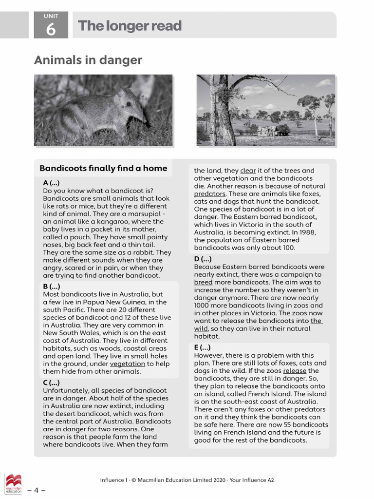 Reading Unit 6 1 Eso | PDF