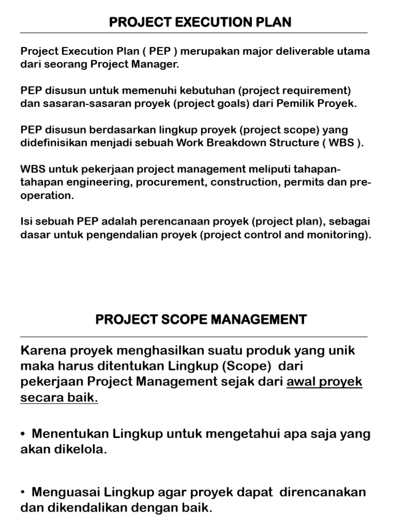 Project Execution Plan | PDF | Seni