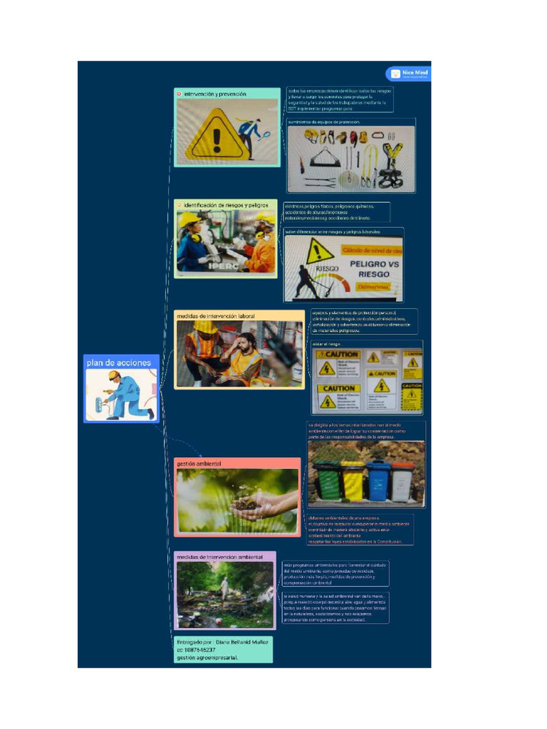 Mapa Mental SST | PDF