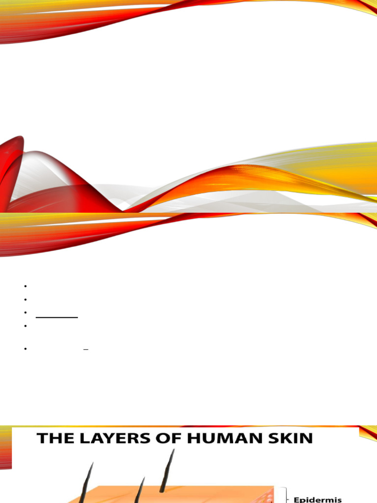 Functions of the Skin | PDF | Skin | Epidermis