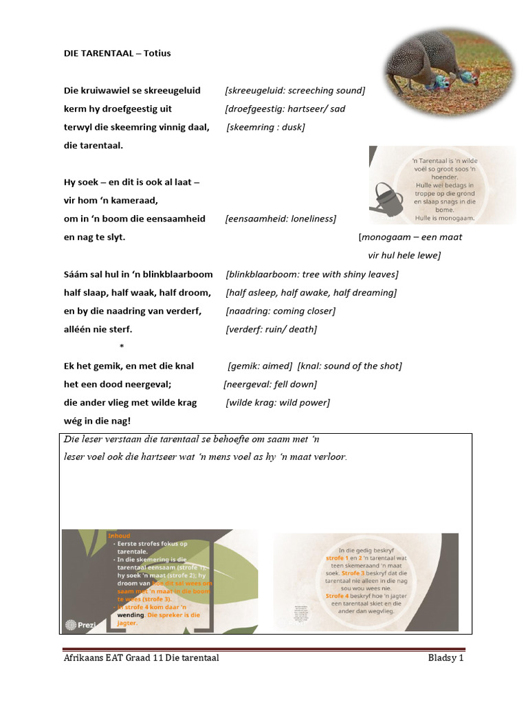 11 AFR Die Tarentaal | PDF