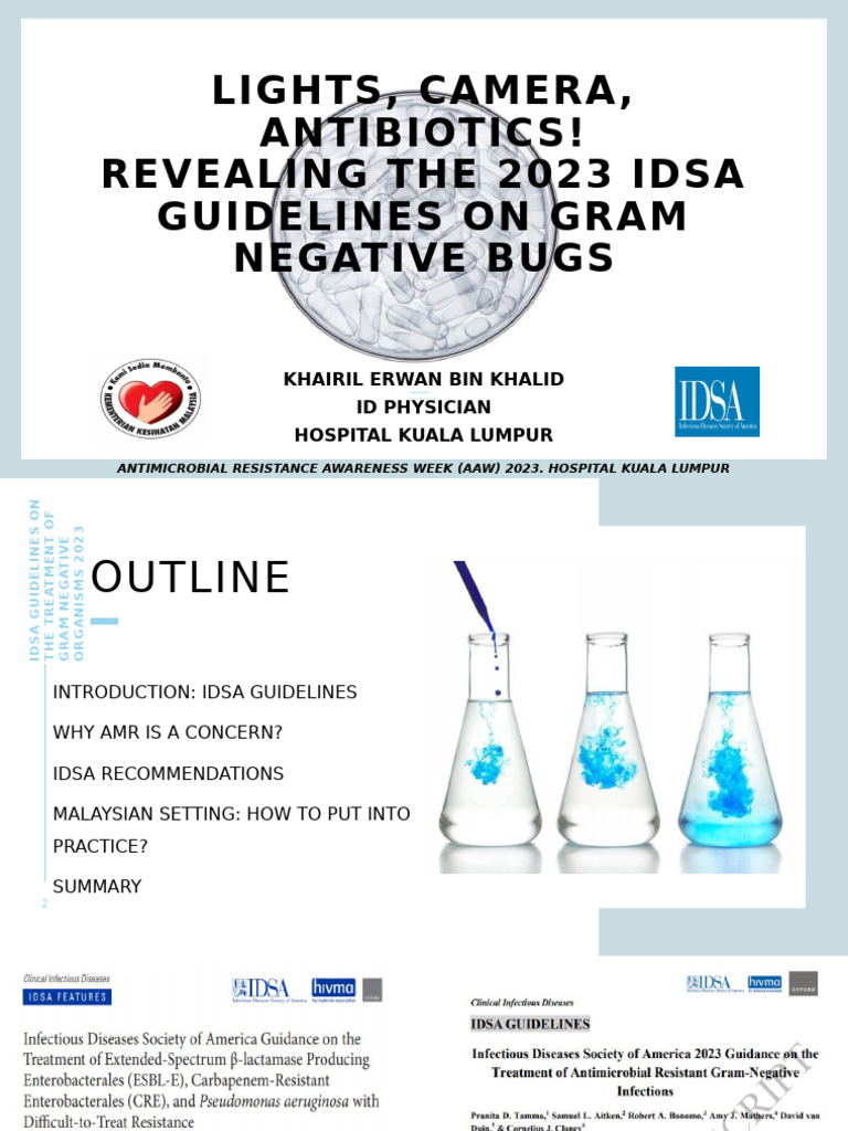 Idsa Guideline On The Treatment of Gram Negative Aaw HKL 2023 | PDF ...