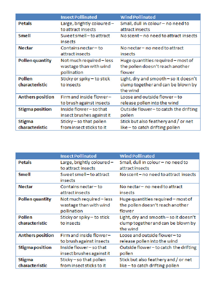 Difference Between Wind or Insect Pollinated Flowers | PDF
