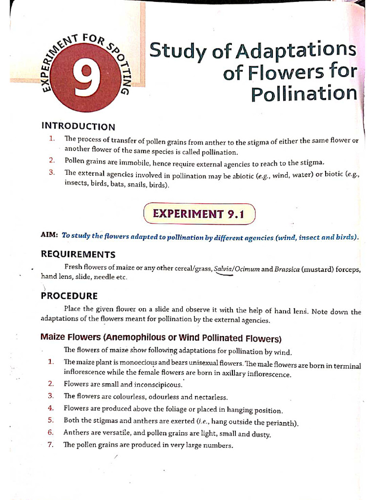 Biology Practical Notes | PDF