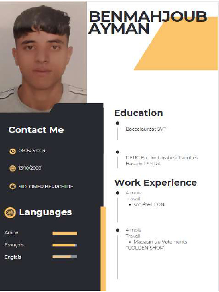 Ayman CV | PDF