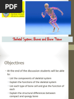 The Skeletal System Answer Key | PDF