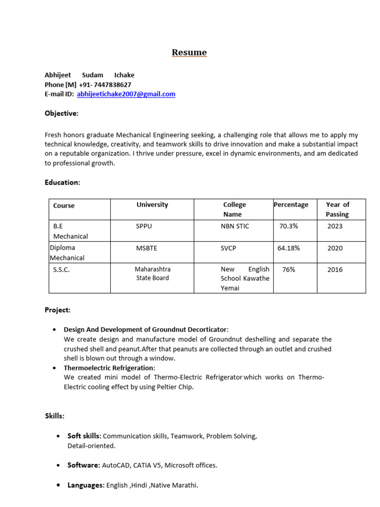 Abhi Ichake CV | PDF | Career & Growth | Business