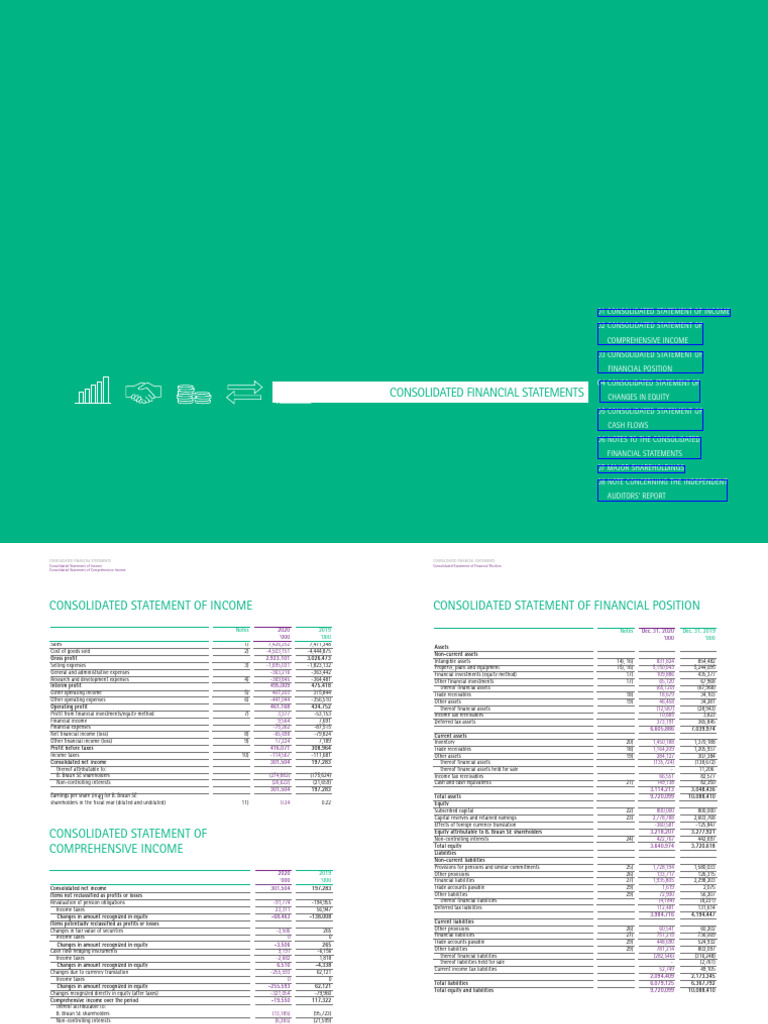 2020 Consolidated Financial Statements | PDF | International Financial ...