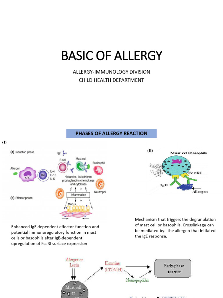 Basic of Allergy | PDF