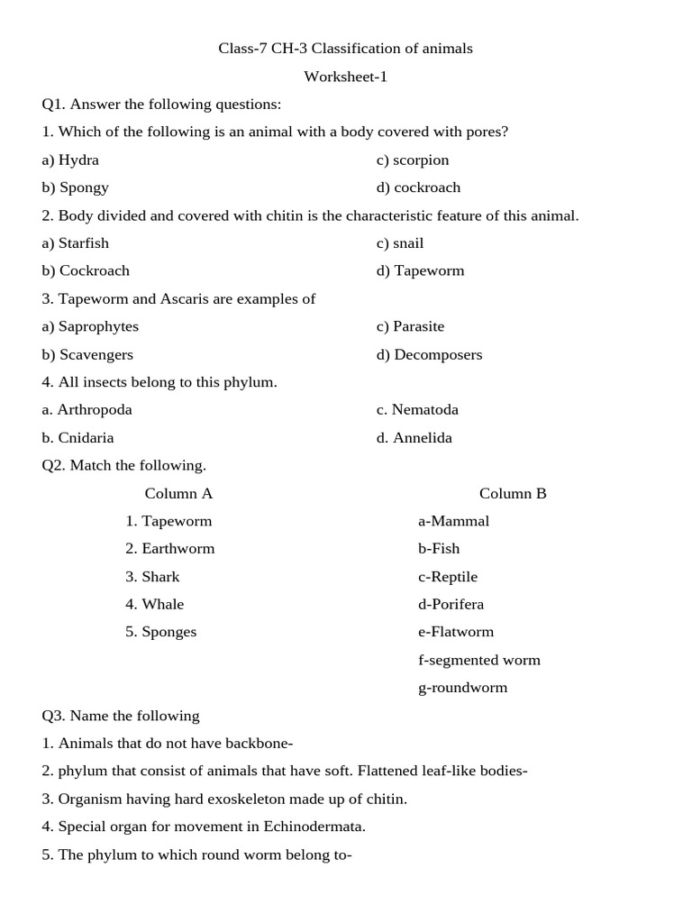 Ch-3 Krisha Worksheet Bio | PDF | Young Adult
