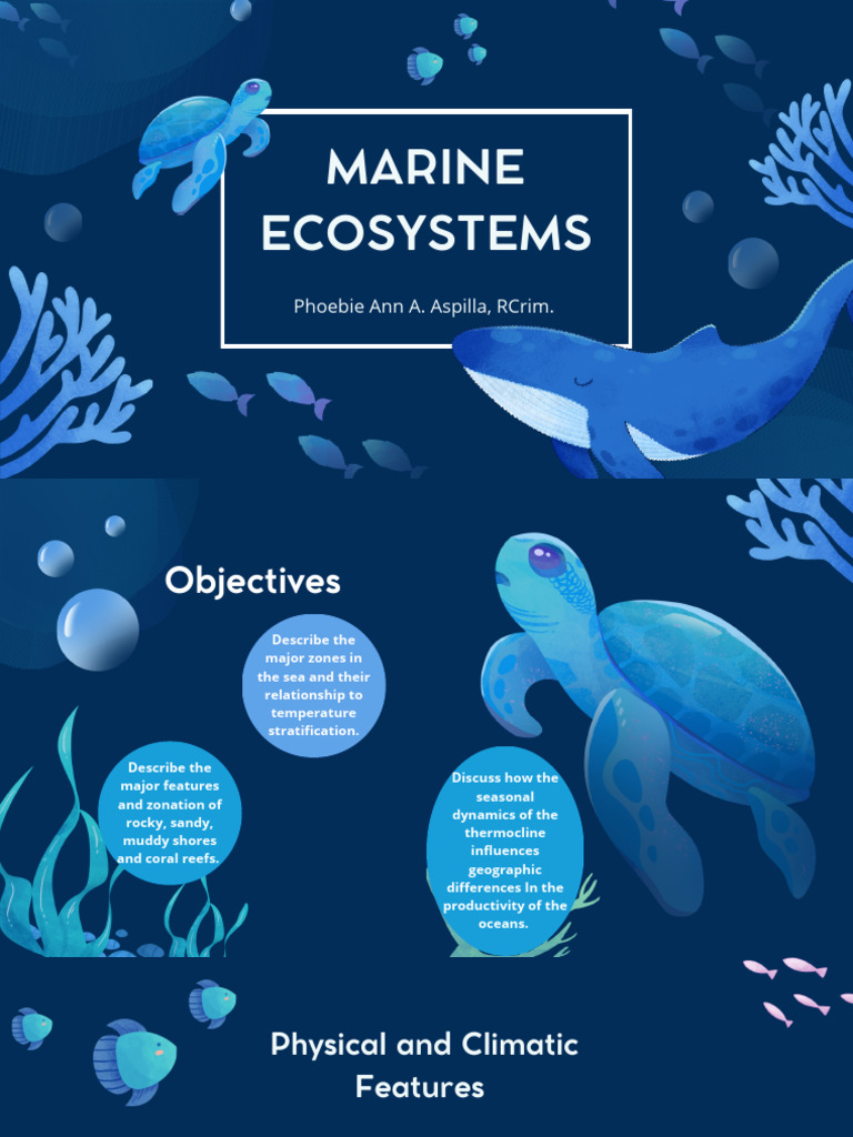Marine Ecosystems | PDF | Sea | Oceans