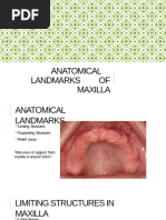 Anatomical Landmarks of Maxilla | PDF | Dentures | Tooth
