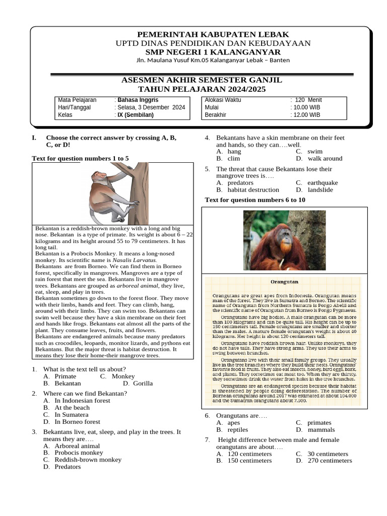 Soal ASAS Ganjil 2024 - 9 | PDF | Gorilla | Orangutan