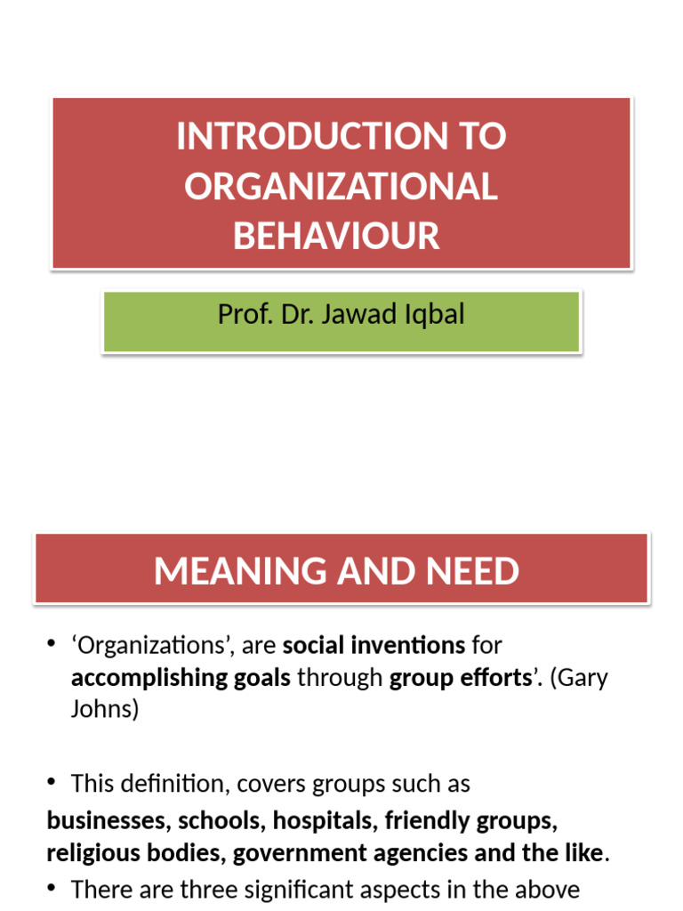Chapter 1. INTRODUCTION TO OB | PDF | Decision Making | Rationality