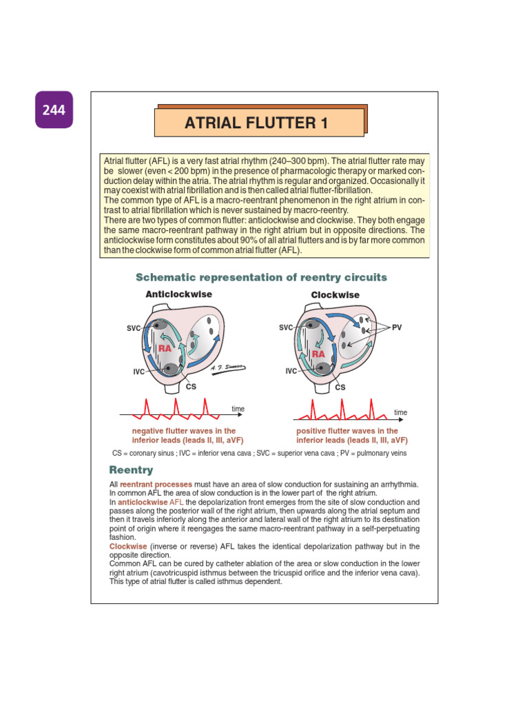 Atrial Flutter Ecg From Basics To Essentials Step By Step Pdf Cardiology Heart