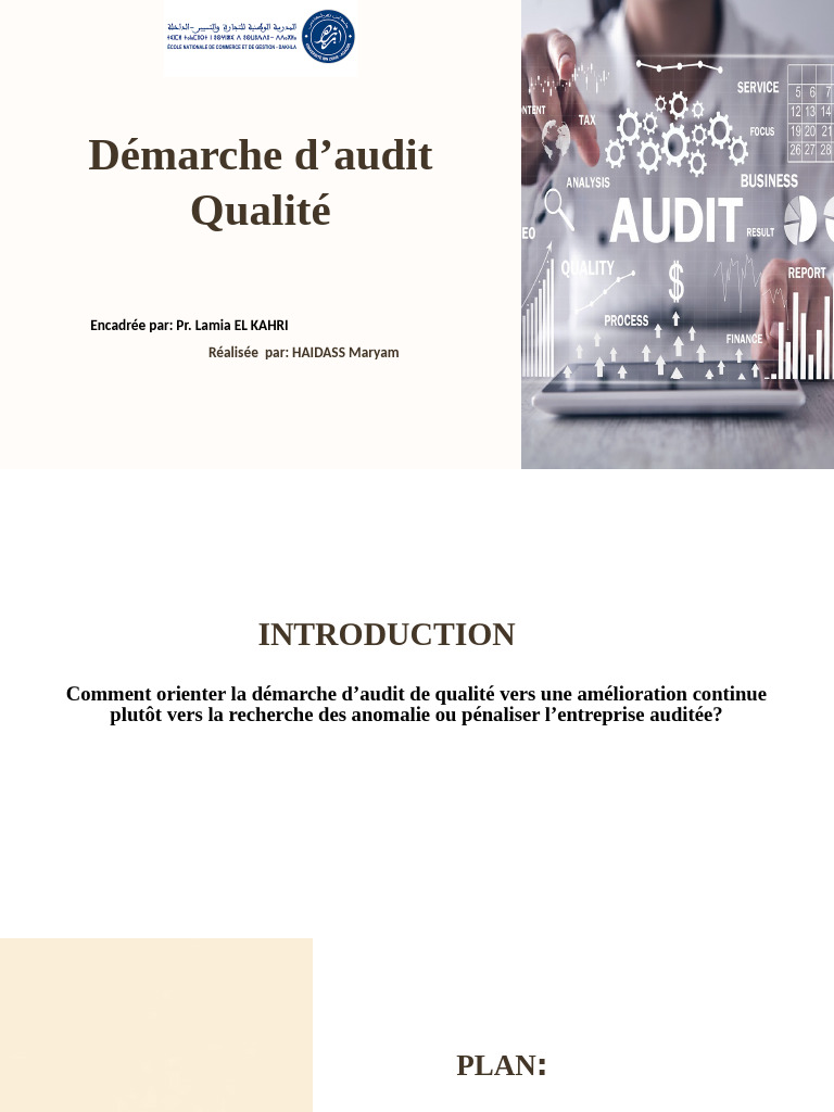 Demarche Daudit Qualite - 2024 (1) 2 | PDF | Audit | Planification