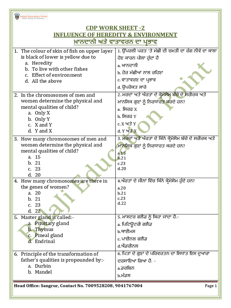 CDP Work-Sheet - 2 | PDF