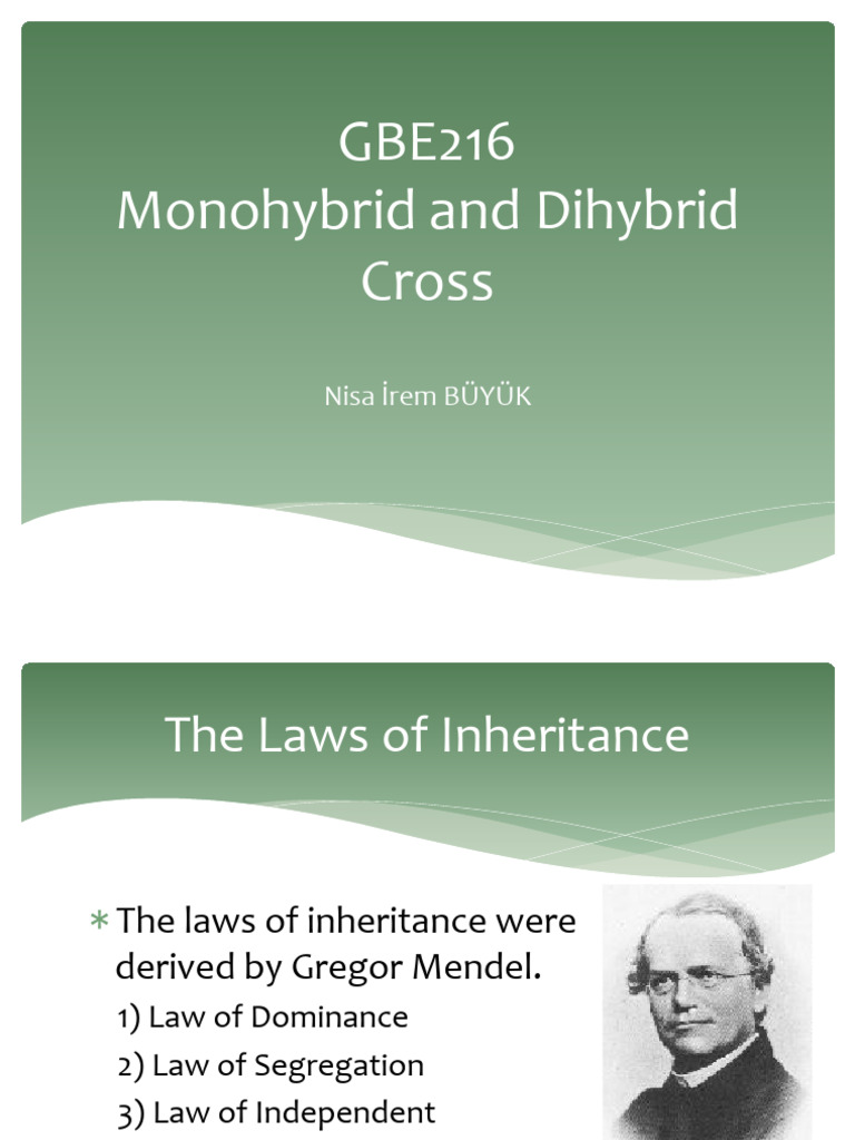 Mendelian Genetics: Monohybrid & Dihybrid Crosses | PDF | Dominance ...