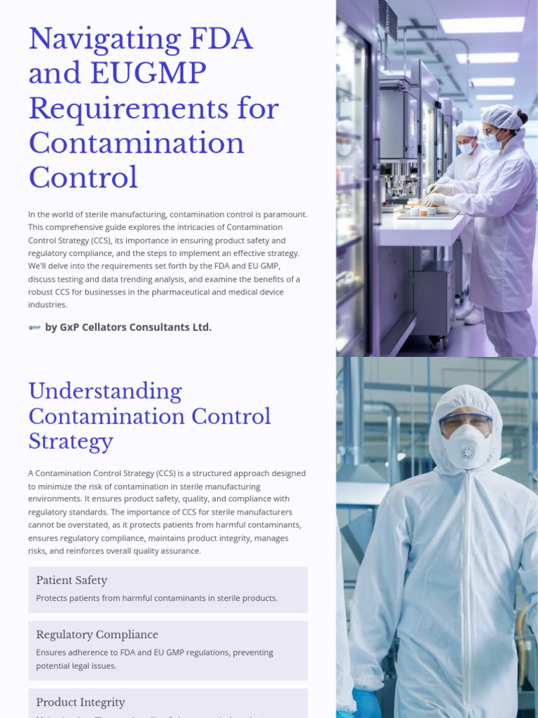 Contamination Control Strategy (CCS) | PDF | Safety