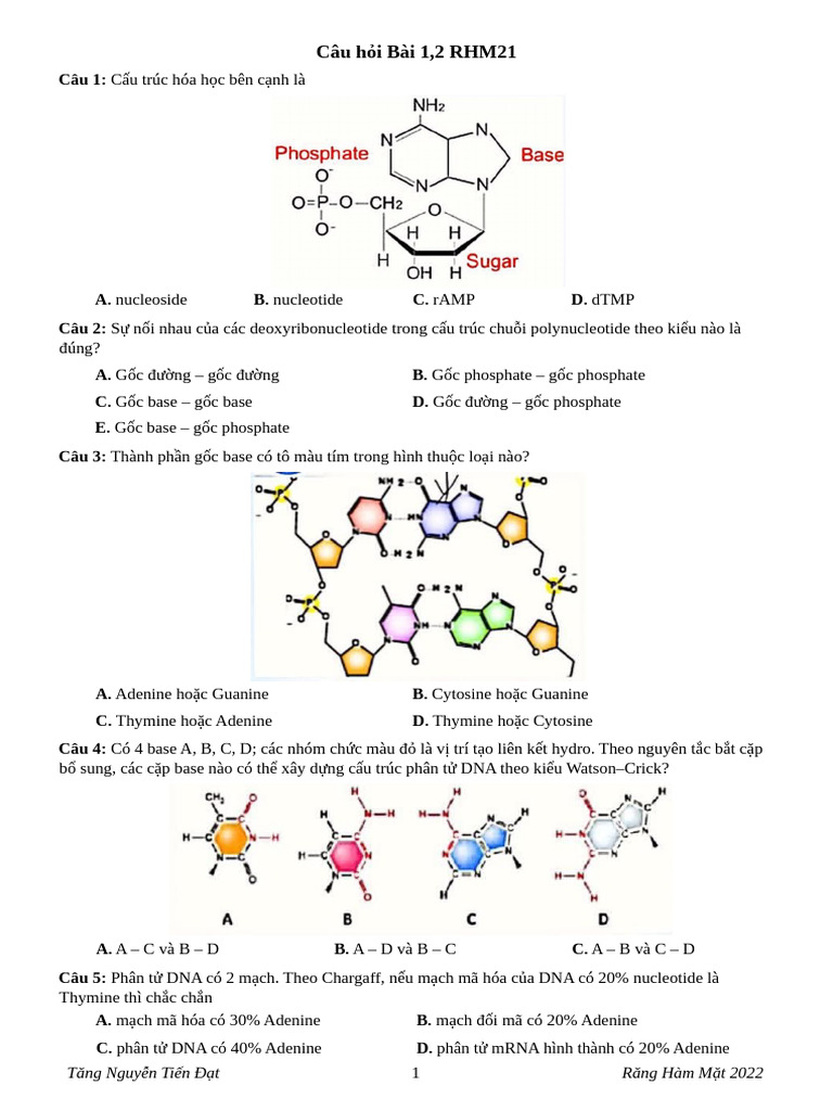 Bản Sao Tổng Hợp Clicker RHM21 | PDF