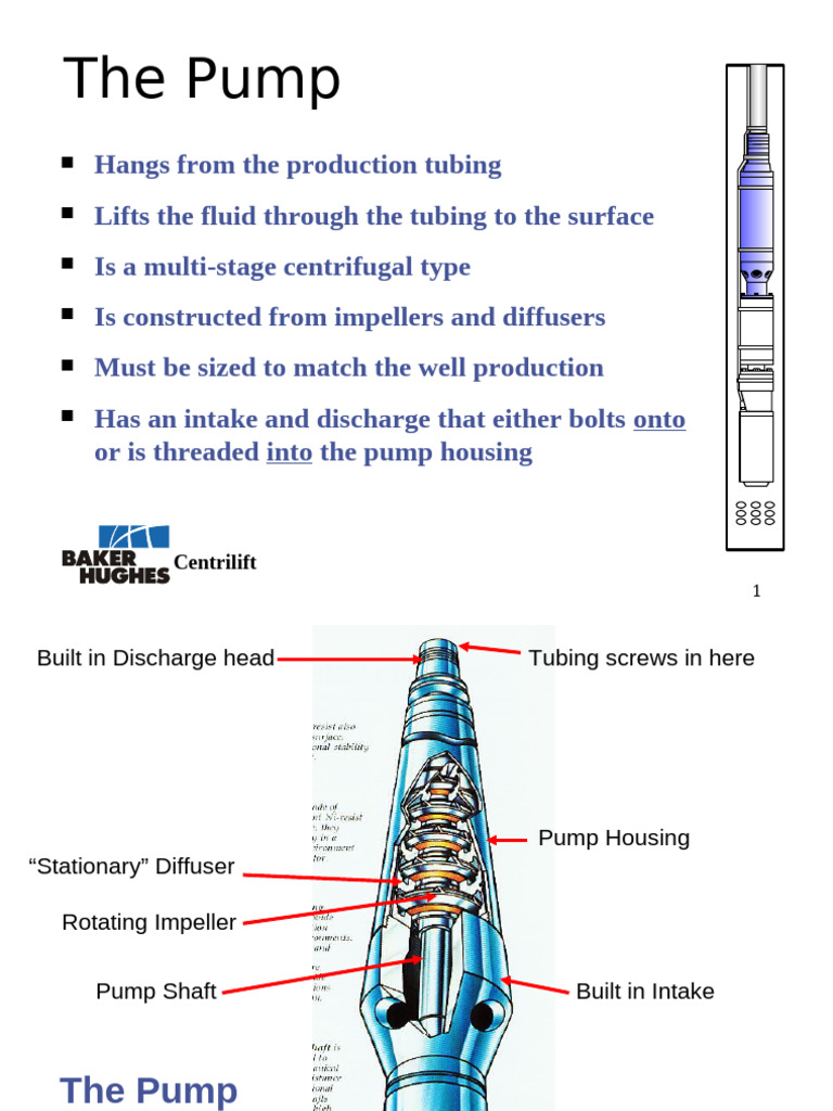 Centrilift Pump Design and Performance | PDF | Pump | Horsepower