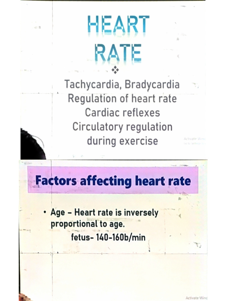 Heart Rate | PDF