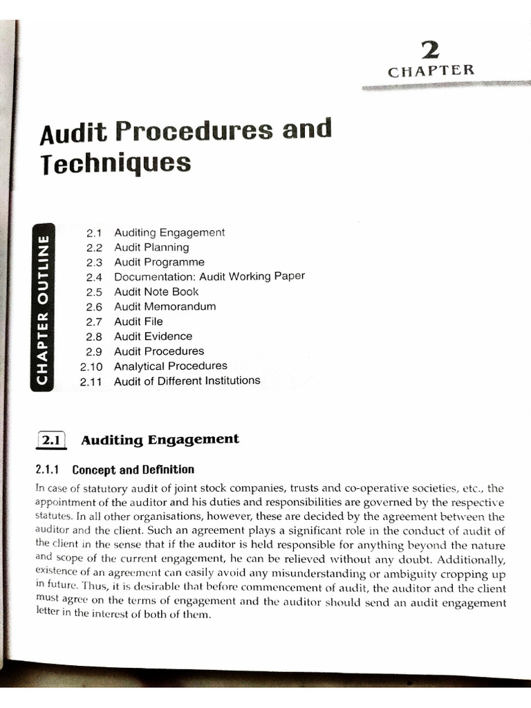 Audit Procedures and Techniques | PDF
