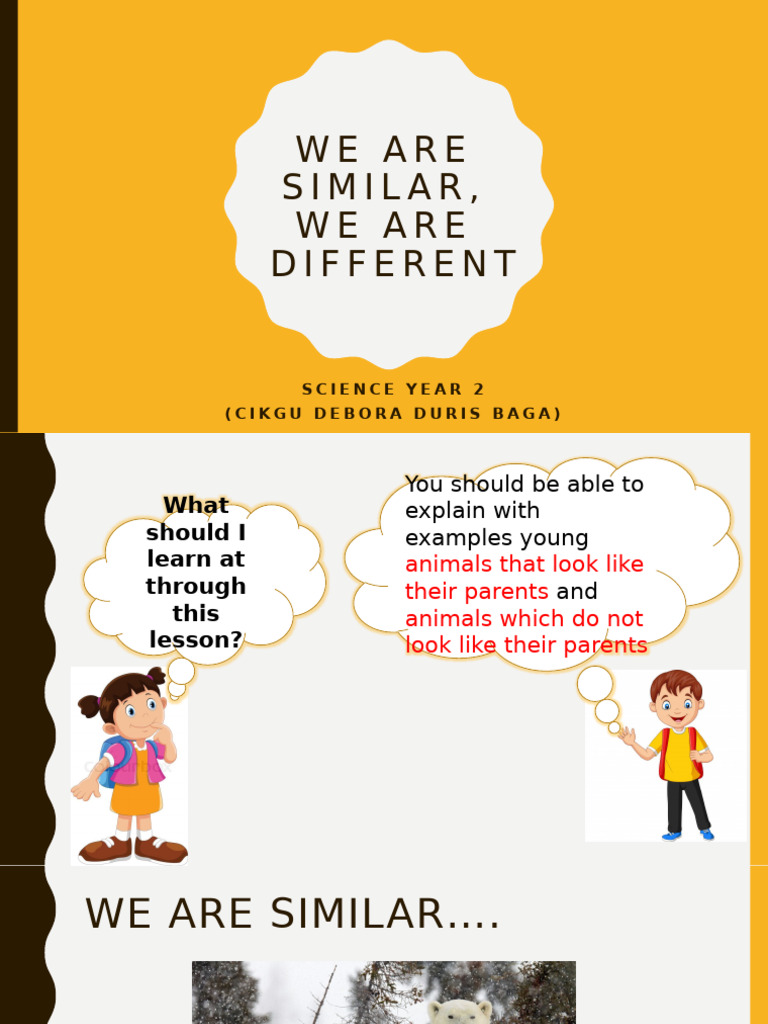 We Are Similar, We Are Different (Animals) | PDF | Self-Improvement ...