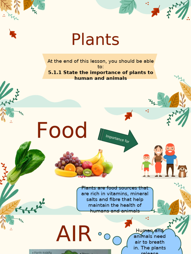 The Importance of Plant | PDF
