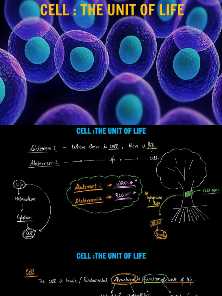 Cell (Part-1) | PDF