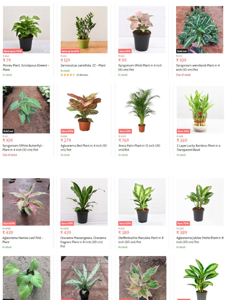 Indoor Plants | PDF