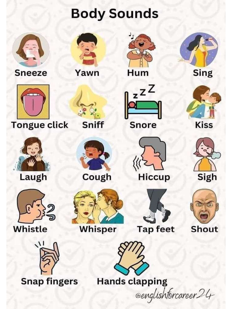 Body Sounds English | PDF