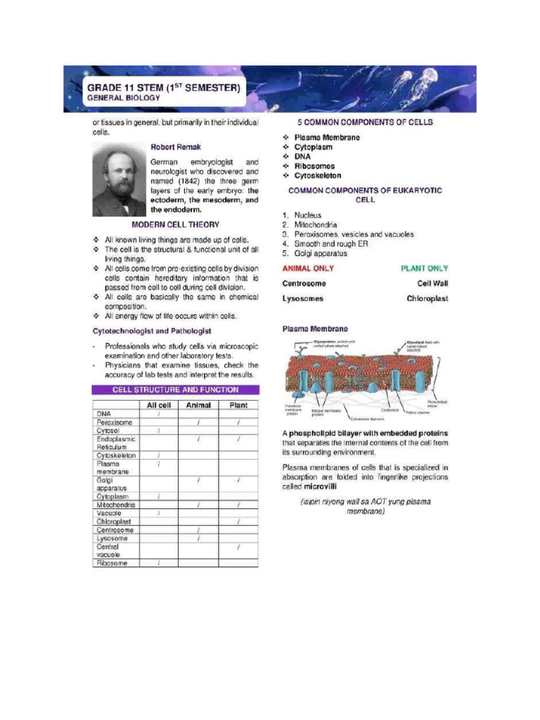 Gen Biology (Cell Theory) | PDF