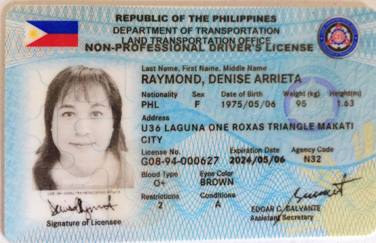 DRaymond PH License 2019 | PDF