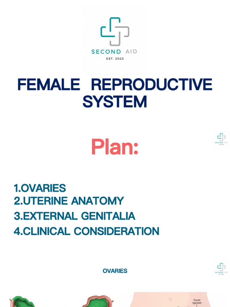 Female Reproductive Health Guide | PDF | Vagina | Gynaecology