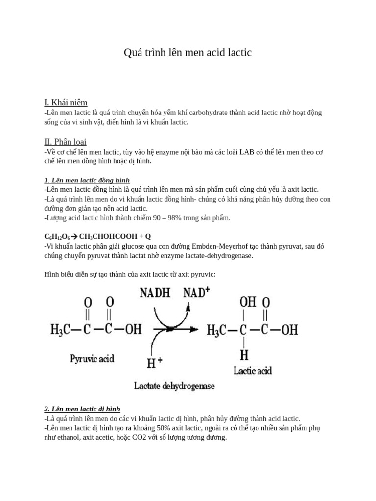 Quá Trình Lên Men Lactic | PDF