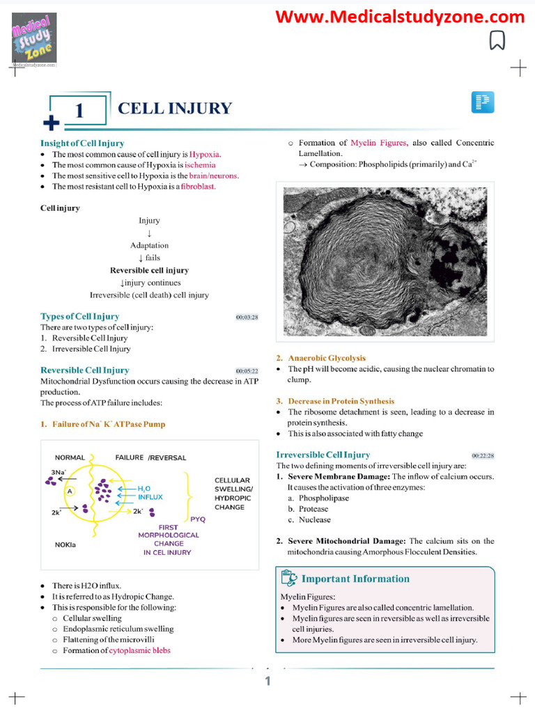 [Medicalstudyzone.com] Prep Pathology V5 Notes | PDF | Internet ...
