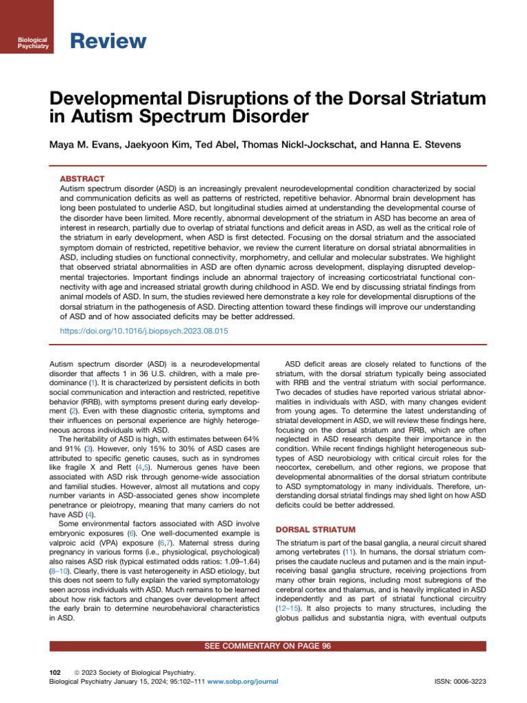 Developmental Disruptions of The Dorsal Striatum in Autism Spectrum ...