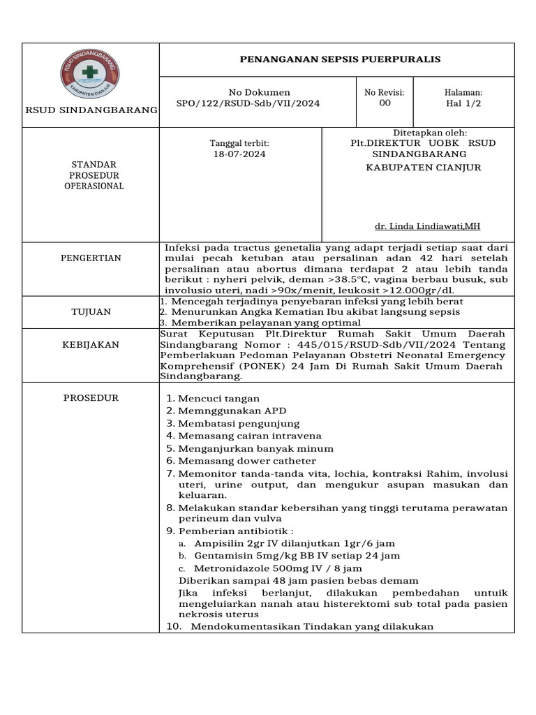 Spo Sepsis Puerpuralis Contoh | PDF