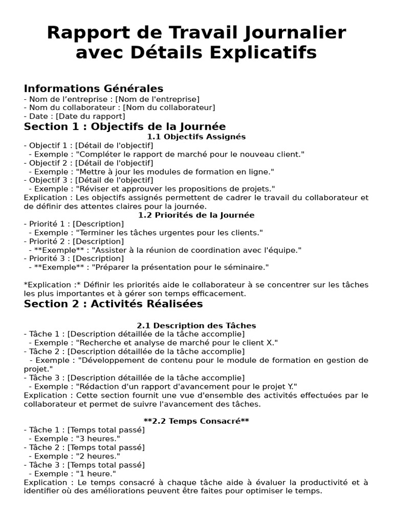Rapport de Travail Journalier Avec Détails Explicatifs | PDF | Gestion de projet