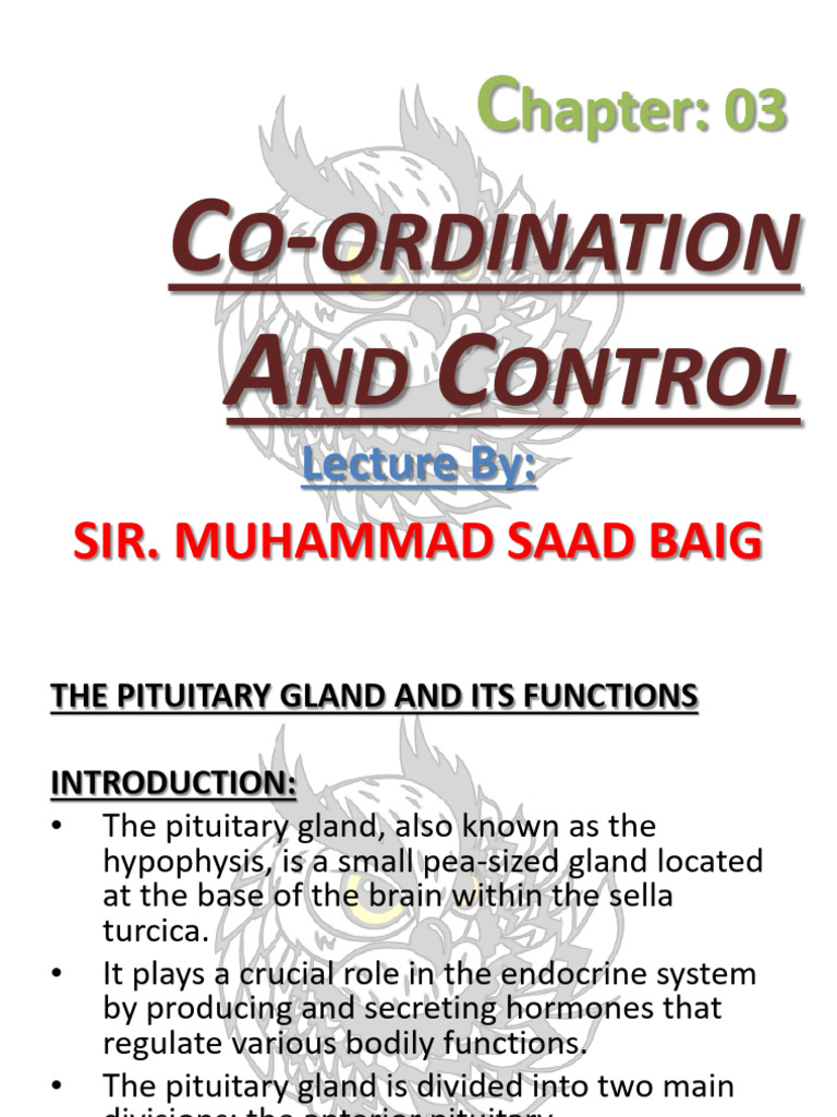 Coordination & Control (SIR SAAD) | PDF | Adrenal Gland | Pancreas